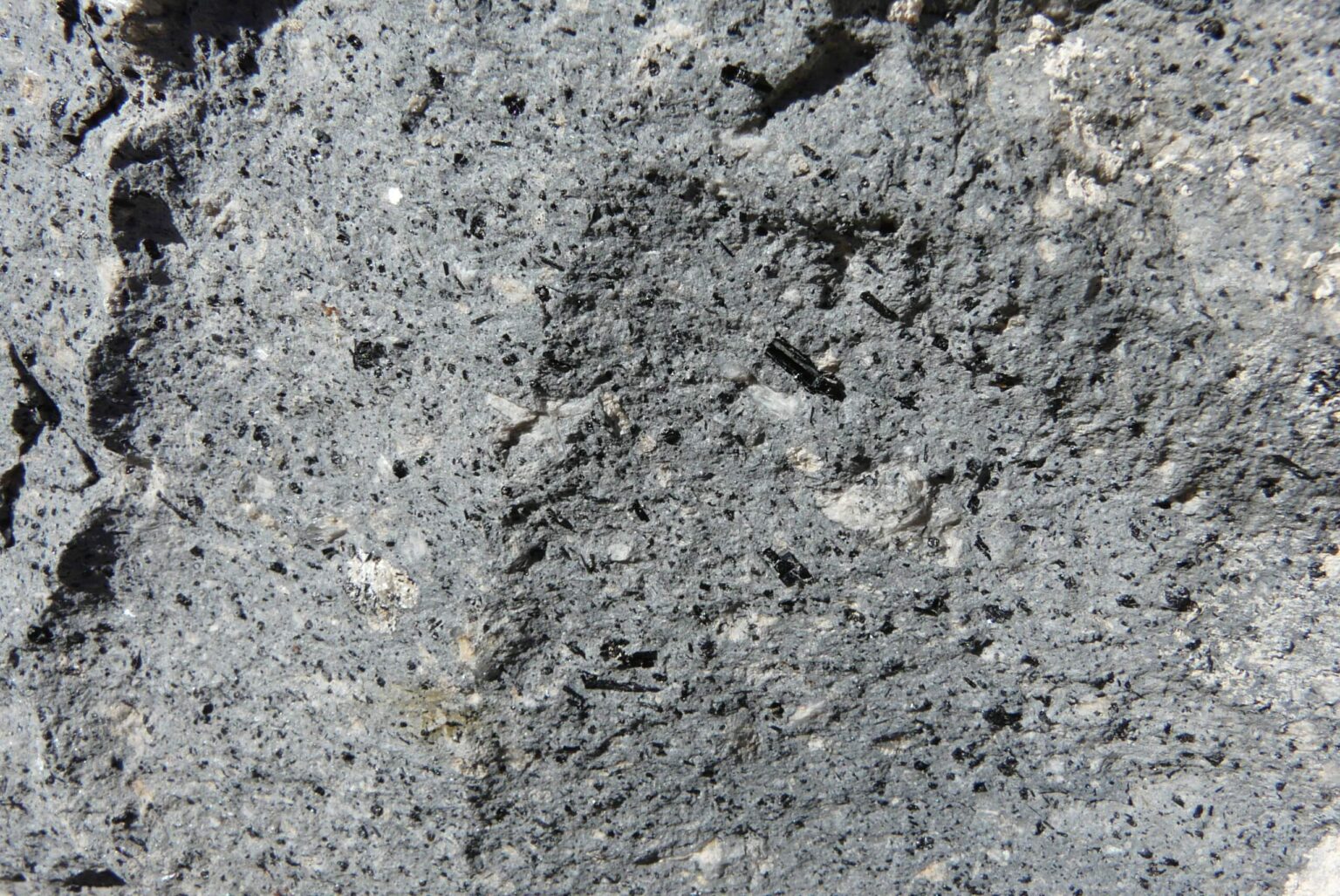 14 Basalte, trachyte, phonolite: quelles différences ? – Vies sauvages ...