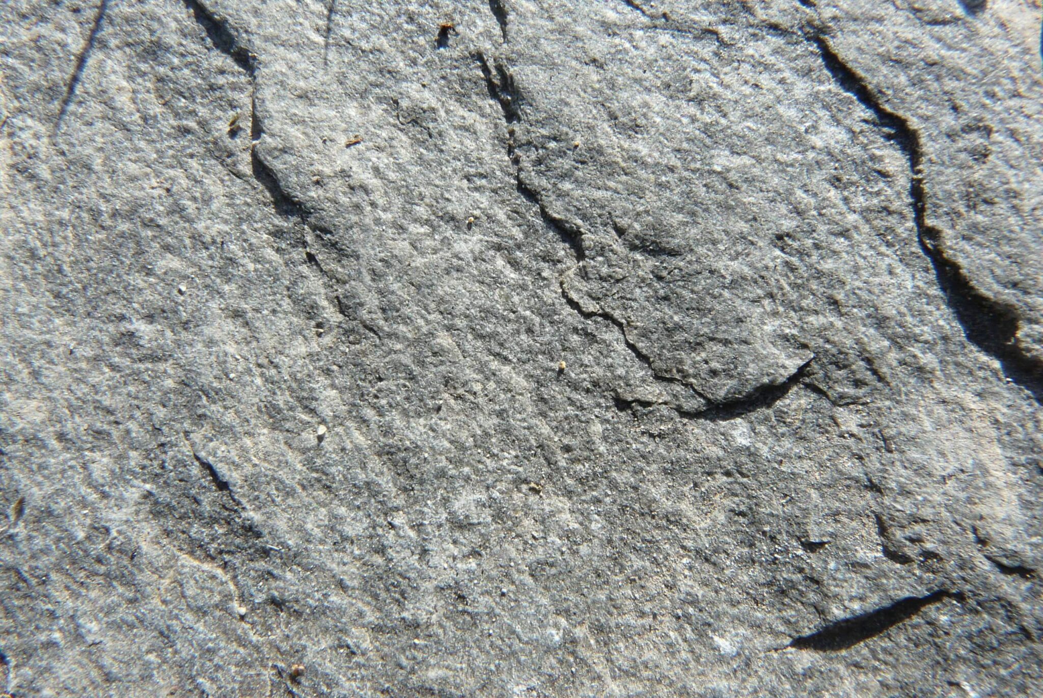 14 Basalte, trachyte, phonolite: quelles différences ? – Vies sauvages ...