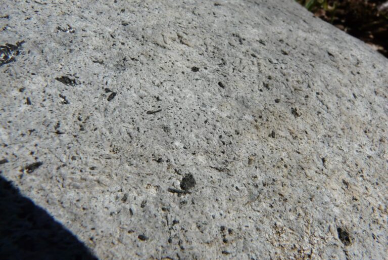 14 Basalte, trachyte, phonolite: quelles différences ? – Vies sauvages dans les Sucs